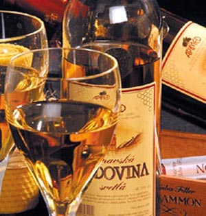 Wine Tasting Tour | Slovakia Travel